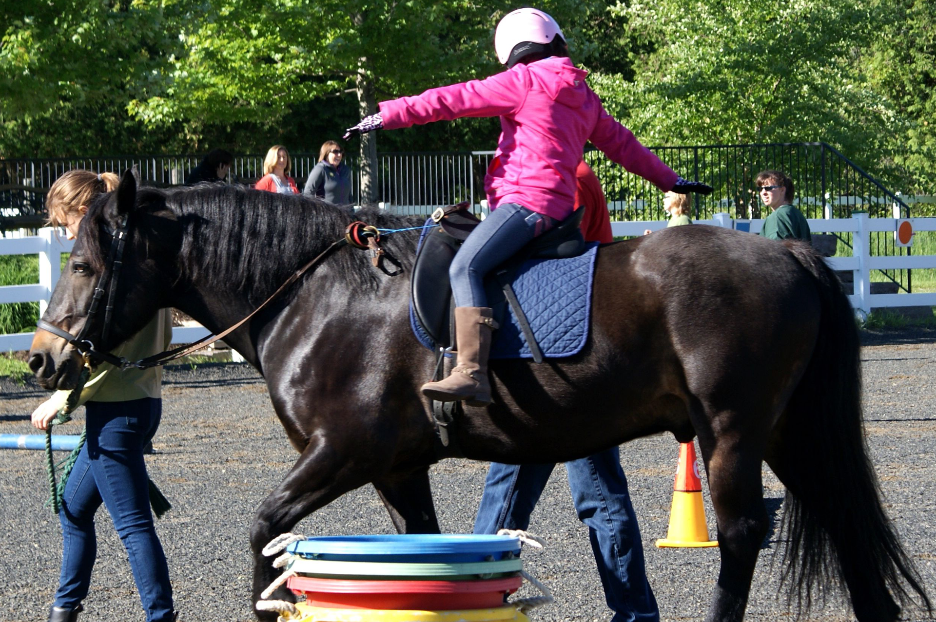 Therapeutic Riding Association of Ottawa-Carleton (TROtt)